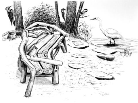 Birding the Ramble in Central Park | Bird Watcher's General Store