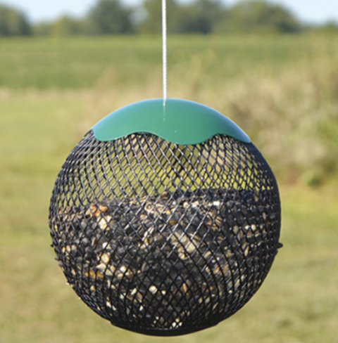 Shop Online | Bird Watcher's General Store