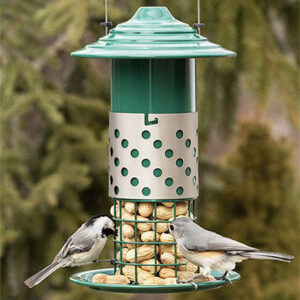 Goofy Feeders | Bird Watcher's General Store