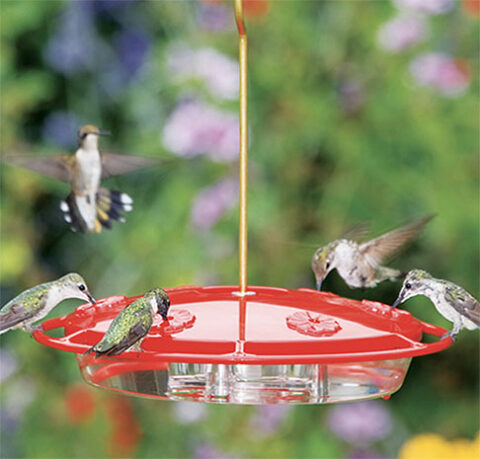 Hummzinger Excel 16 oz. Hummingbird Feeder | Bird Watcher's General Store