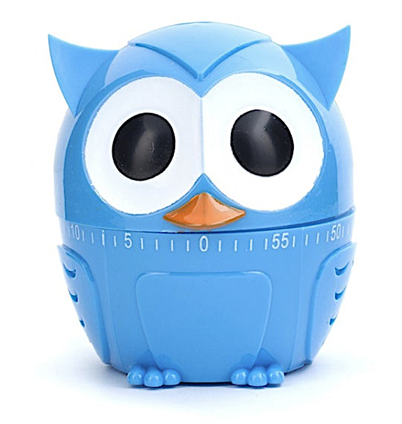 Owl Kitchen Timer | Bird Watcher's General Store