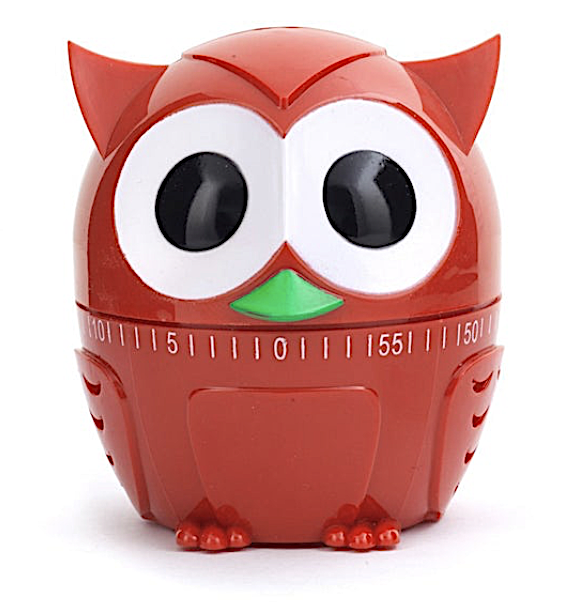 Owl Kitchen Timer | Bird Watcher's General Store