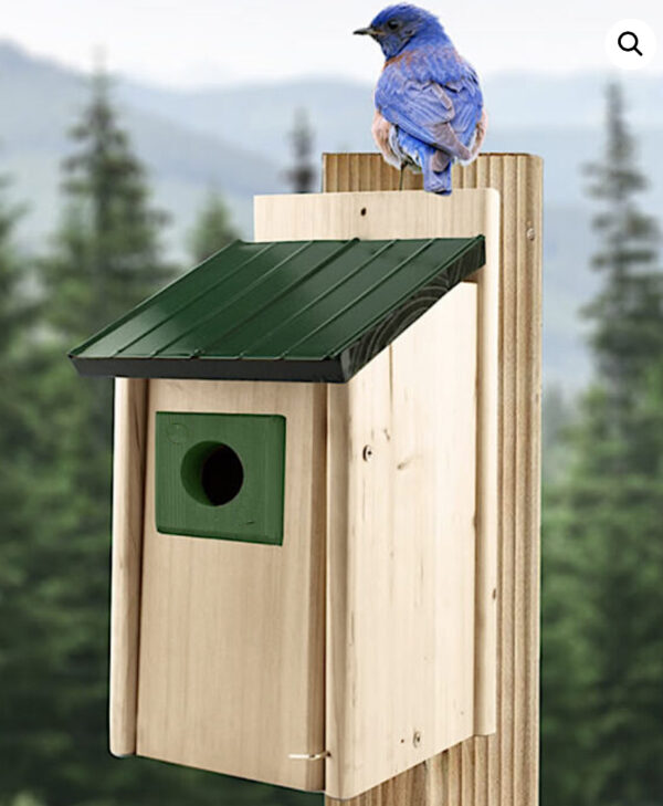 Lake And Cabin Birdhouse with Green Roof | Bird Watcher's General Store