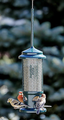 Brome Squirrel Buster – Standard Feeder | Bird Watcher's General Store