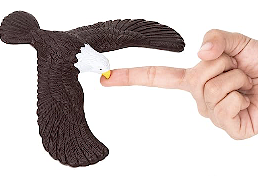 The Amazing Balancing Eagle | Bird Watcher's General Store