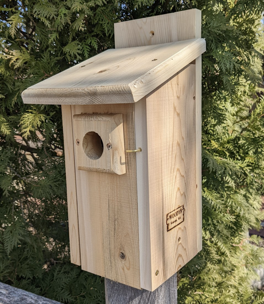 Flycatcher Box by Woody | Bird Watcher's General Store