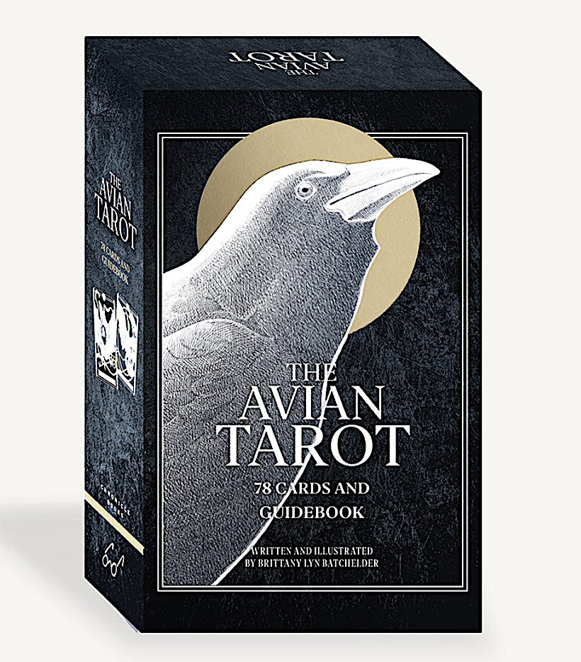The Avian Tarot Cards | Bird Watcher's General Store
